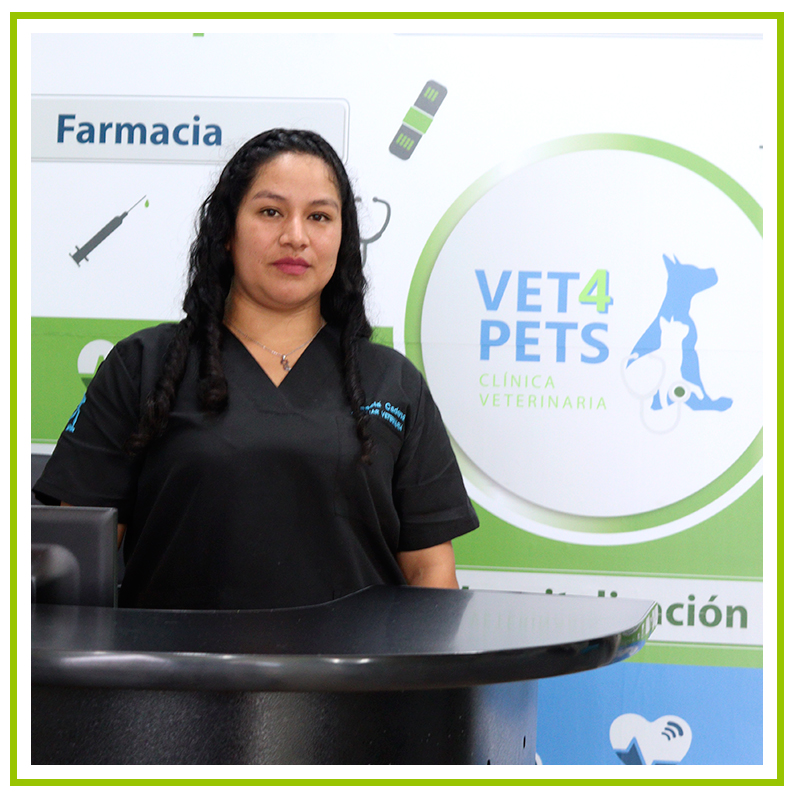 Sobre Vet4Pets - Vet4Pets
