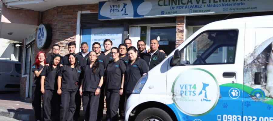 Sobre Vet4Pets - Vet4Pets